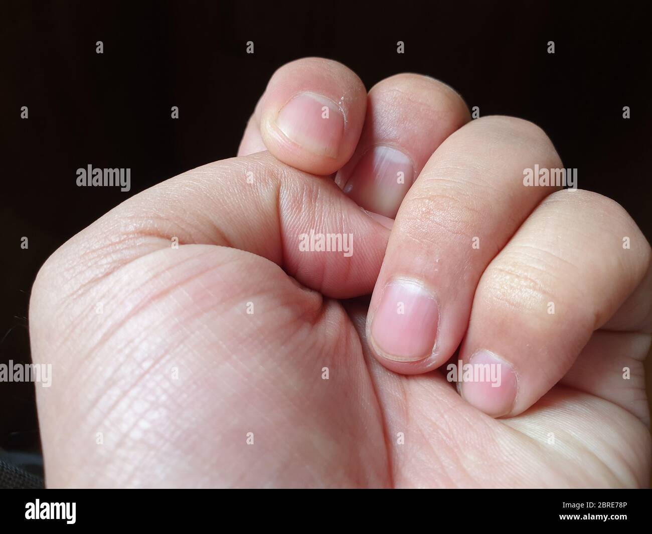 Parts of our body kids body parts need blood in order to work properly ...