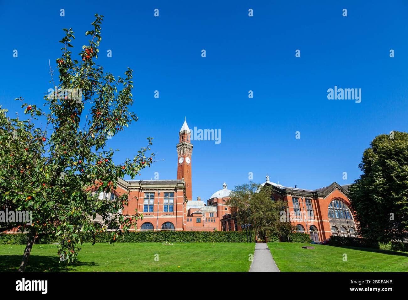University of birmingham edgbaston hi-res stock photography and images ...