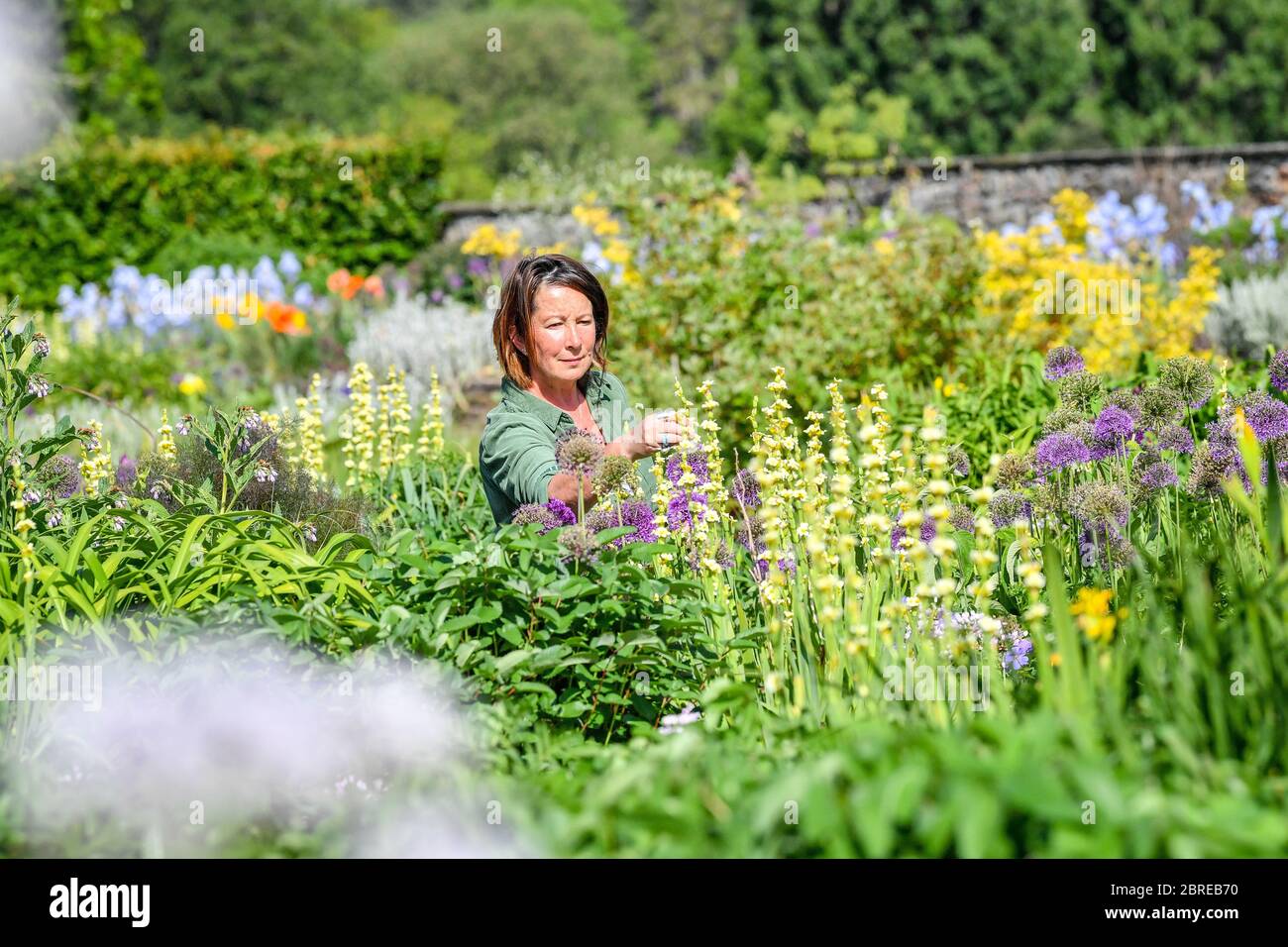 Owner of the yeo valleys organic garden hi-res stock photography and ...