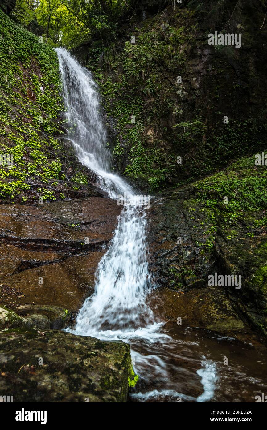 Stream waterfall in mountain forest hi-res stock photography and images ...