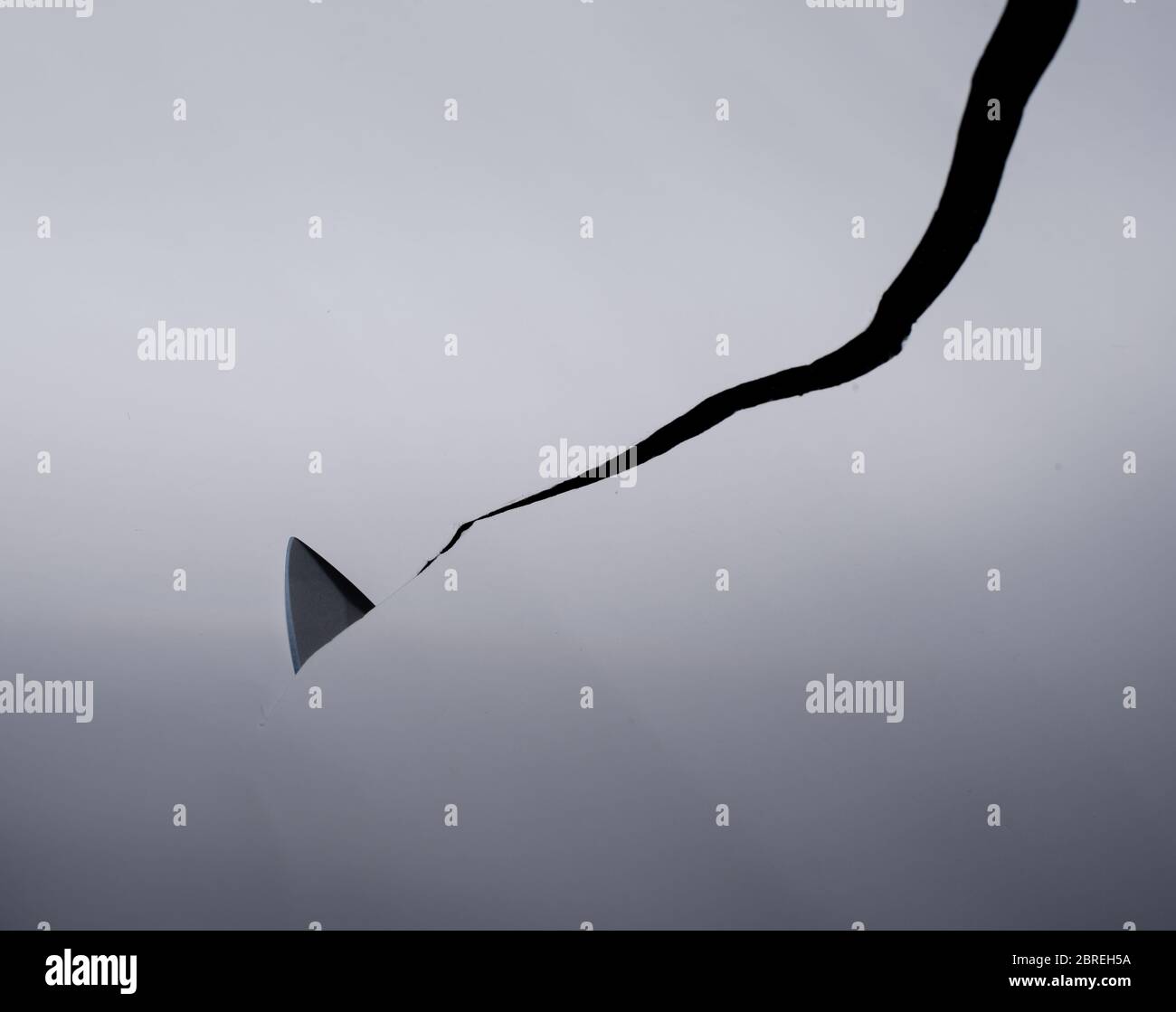 Shark fin slices the page Stock Photo - Alamy