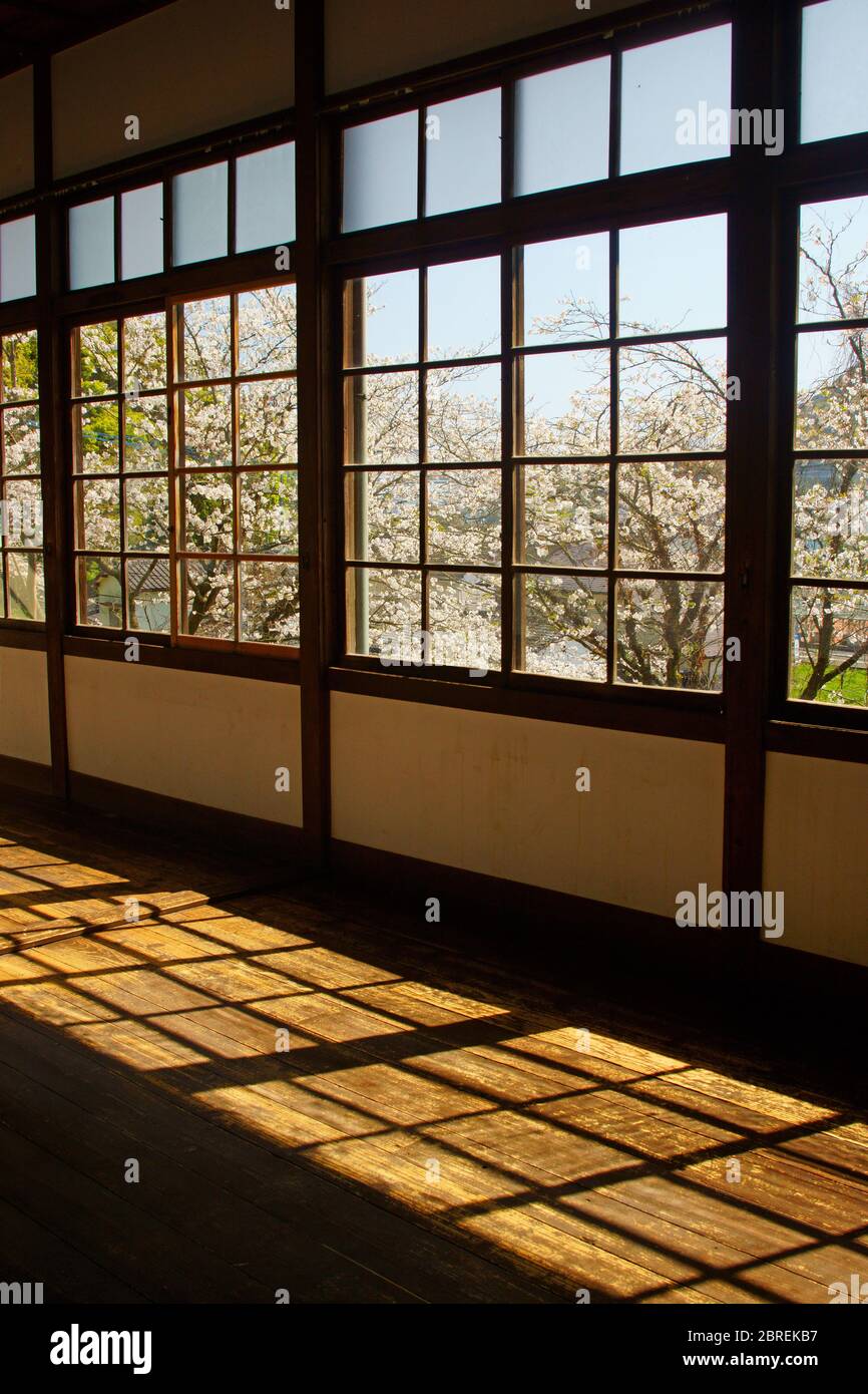 Cherry Blossom viewing through the Window Stock Photo - Alamy