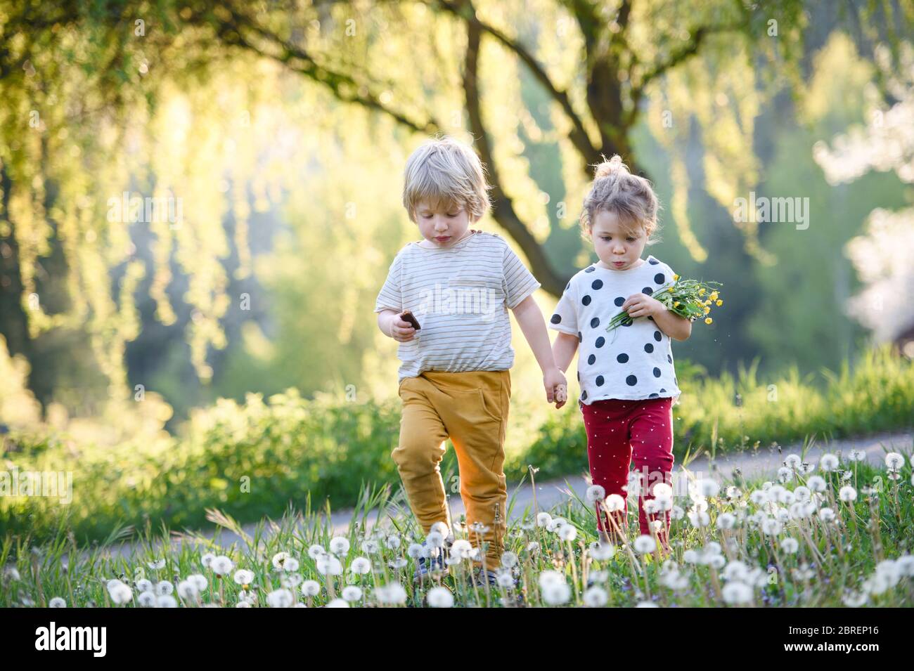 Small children boy and girl walking outdoors in spring nature Stock ...