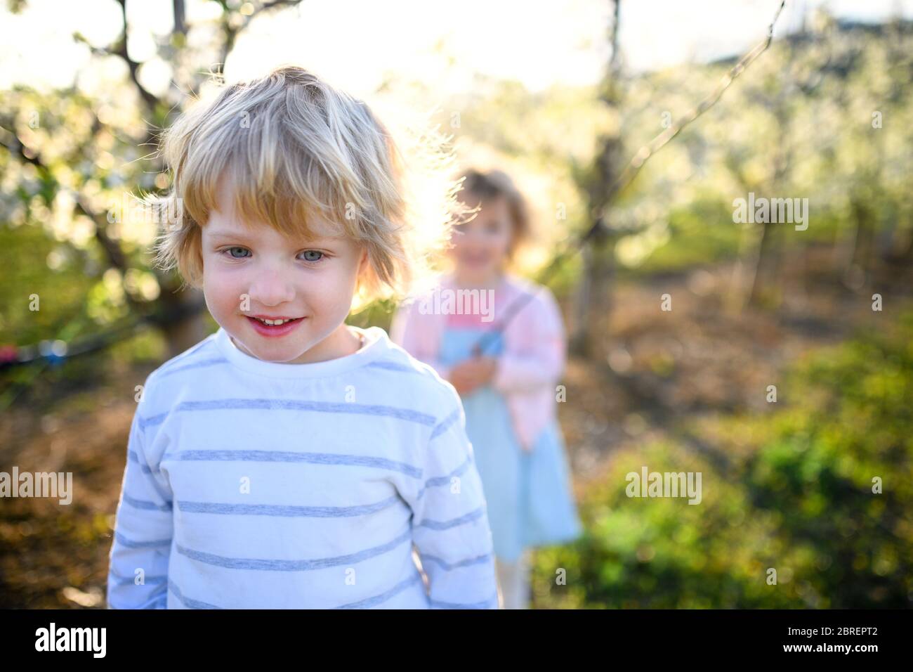 Happy and carefree children hi-res stock photography and images - Alamy