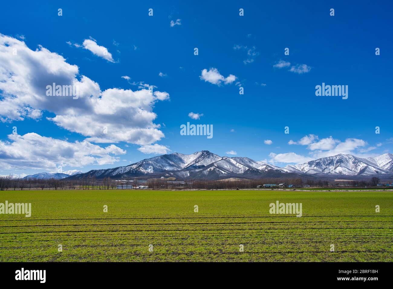 Spring in Tokachi, Hokkaido, Japan Stock Photo - Alamy