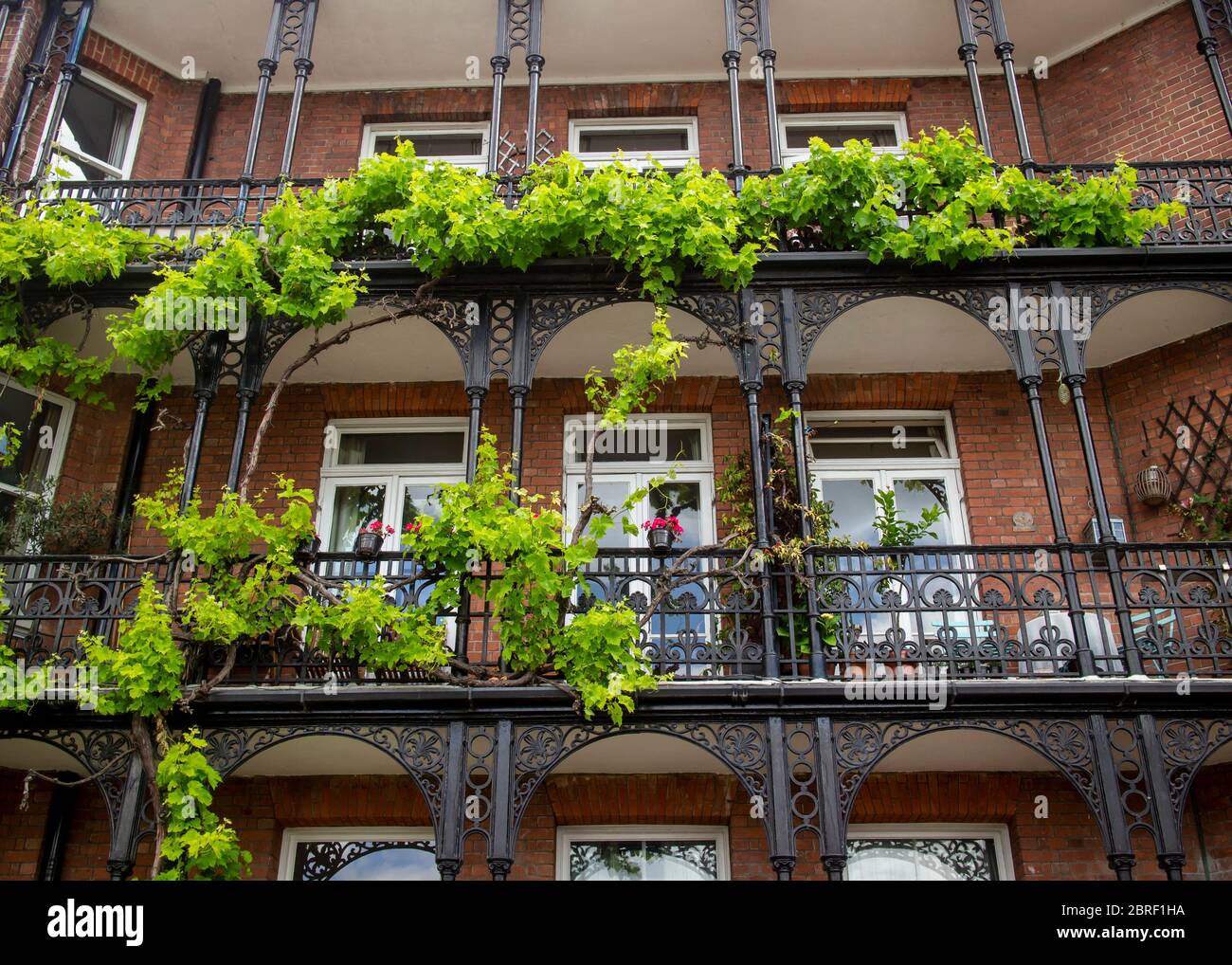 Architectural detail of houses on Hammersmith, West London Stock Photo ...