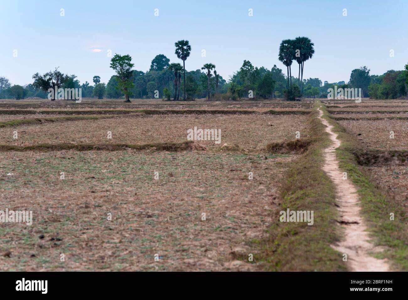 Dirt footpaths hi-res stock photography and images - Alamy