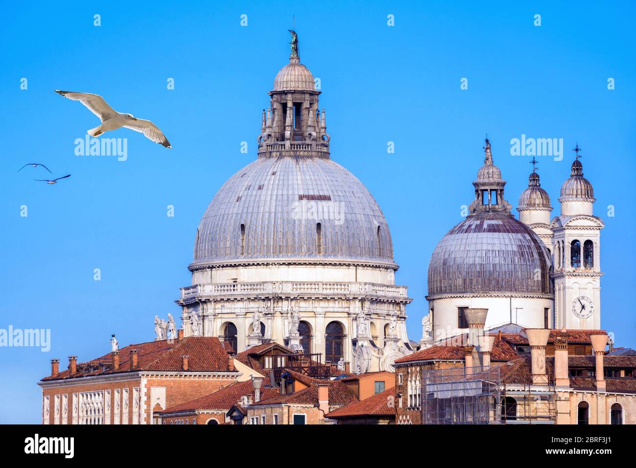 Basilica di Santa Maria della Salute, Venice, Italy. Famous church of ...