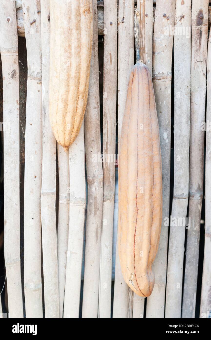 Asian loofah hi-res stock photography and images - Alamy