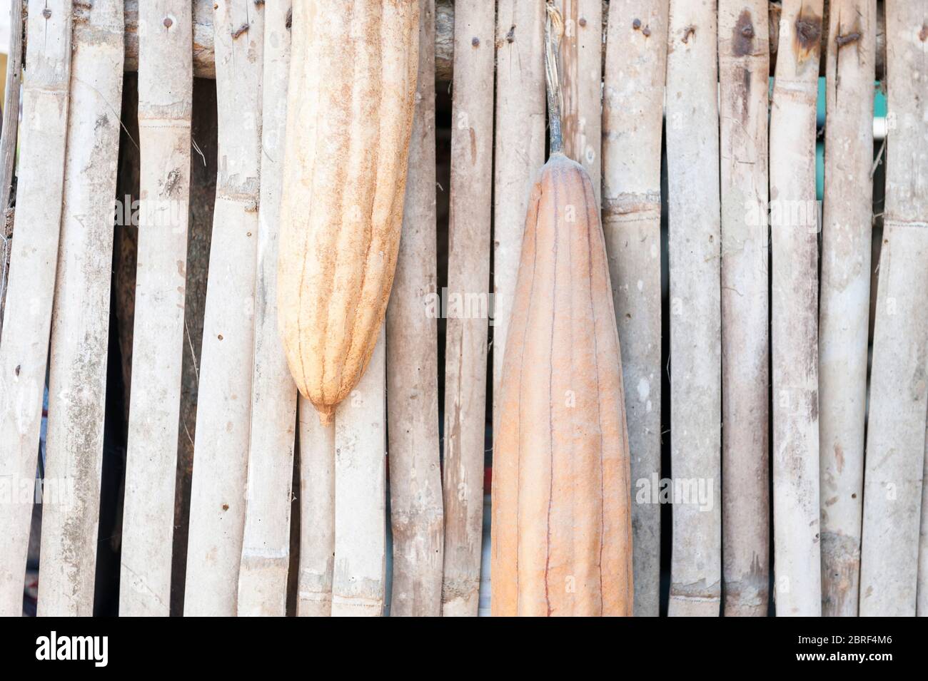 Asian loofah hi-res stock photography and images - Alamy