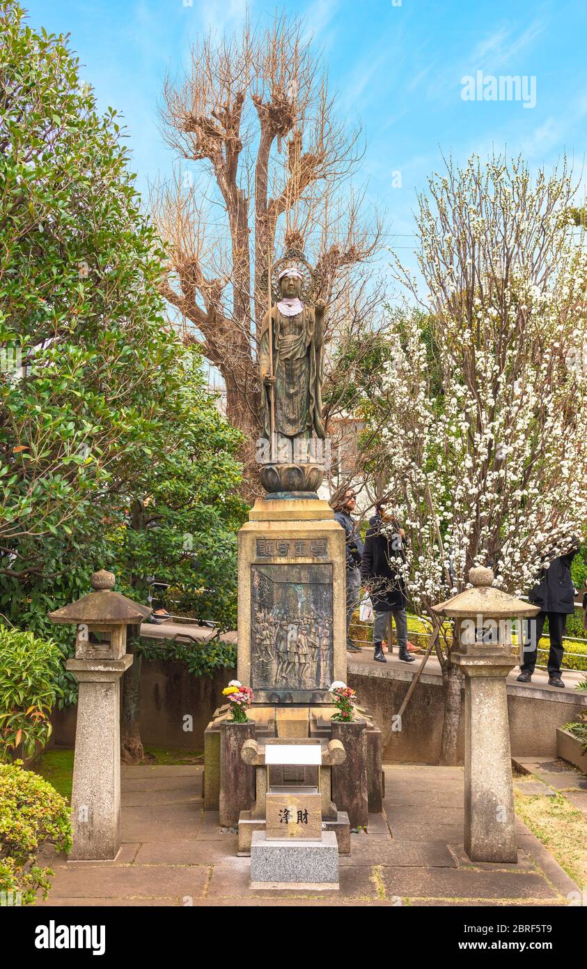 tokyo, japan - march 30 2020: Hana Peach or Hana Momo shrub in bloom ...