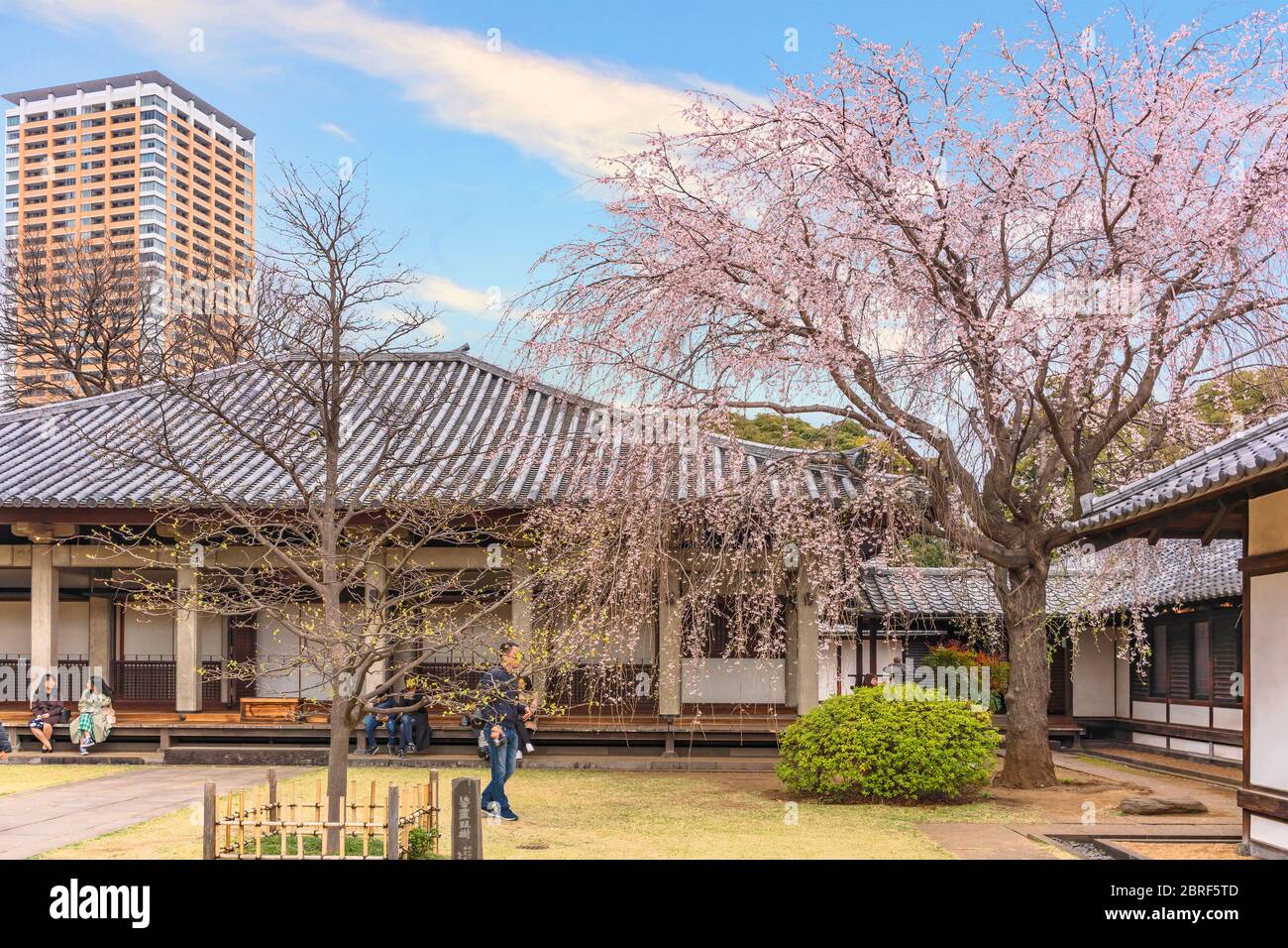 Temples in tokyo nippori temples hi-res stock photography and images ...