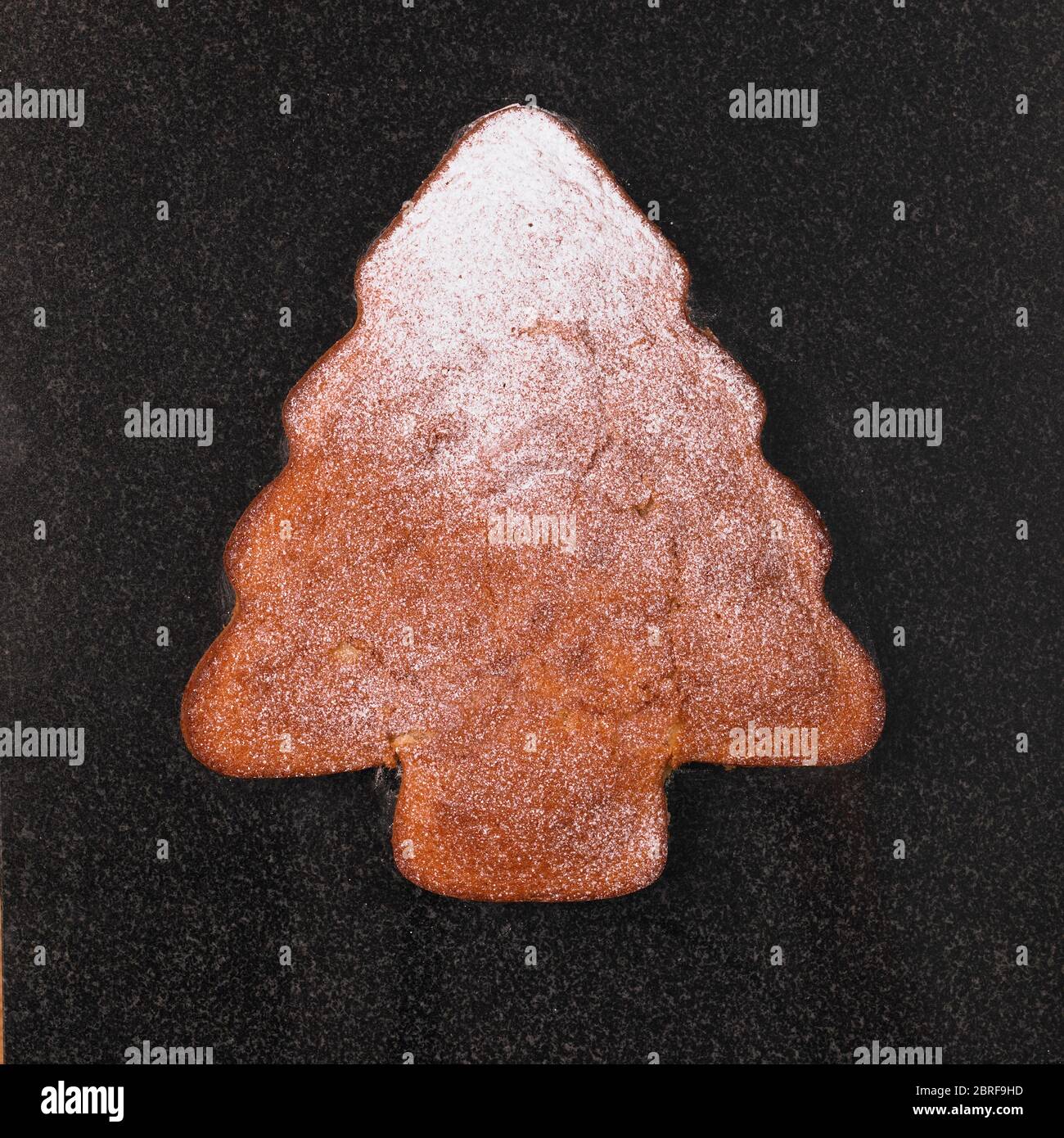 Christmas tree sponge cake dusted with icing sugar snow on dark ...
