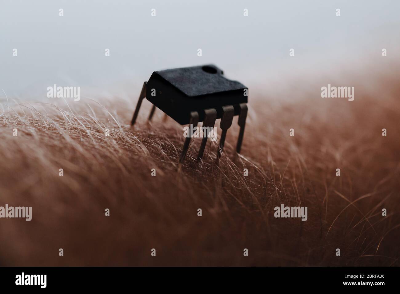 Implantation of a small black chip in hand. Chipization of people after ...