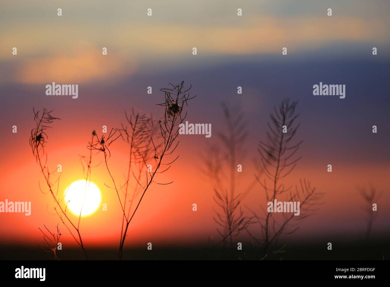 Sunrise over steppe hi-res stock photography and images - Alamy