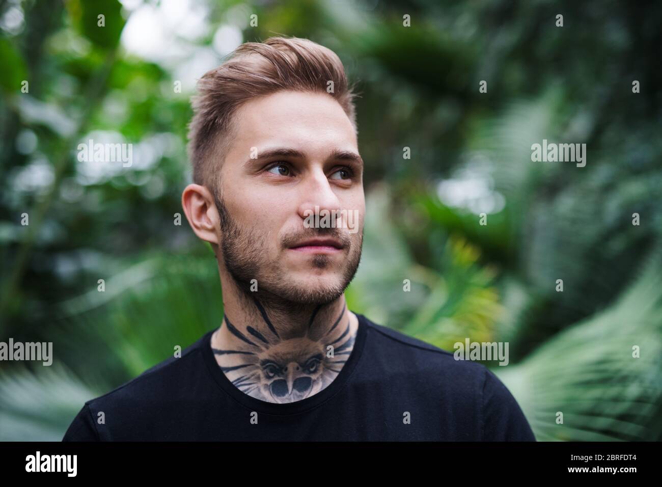 Attractive front garden hi-res stock photography and images - Alamy