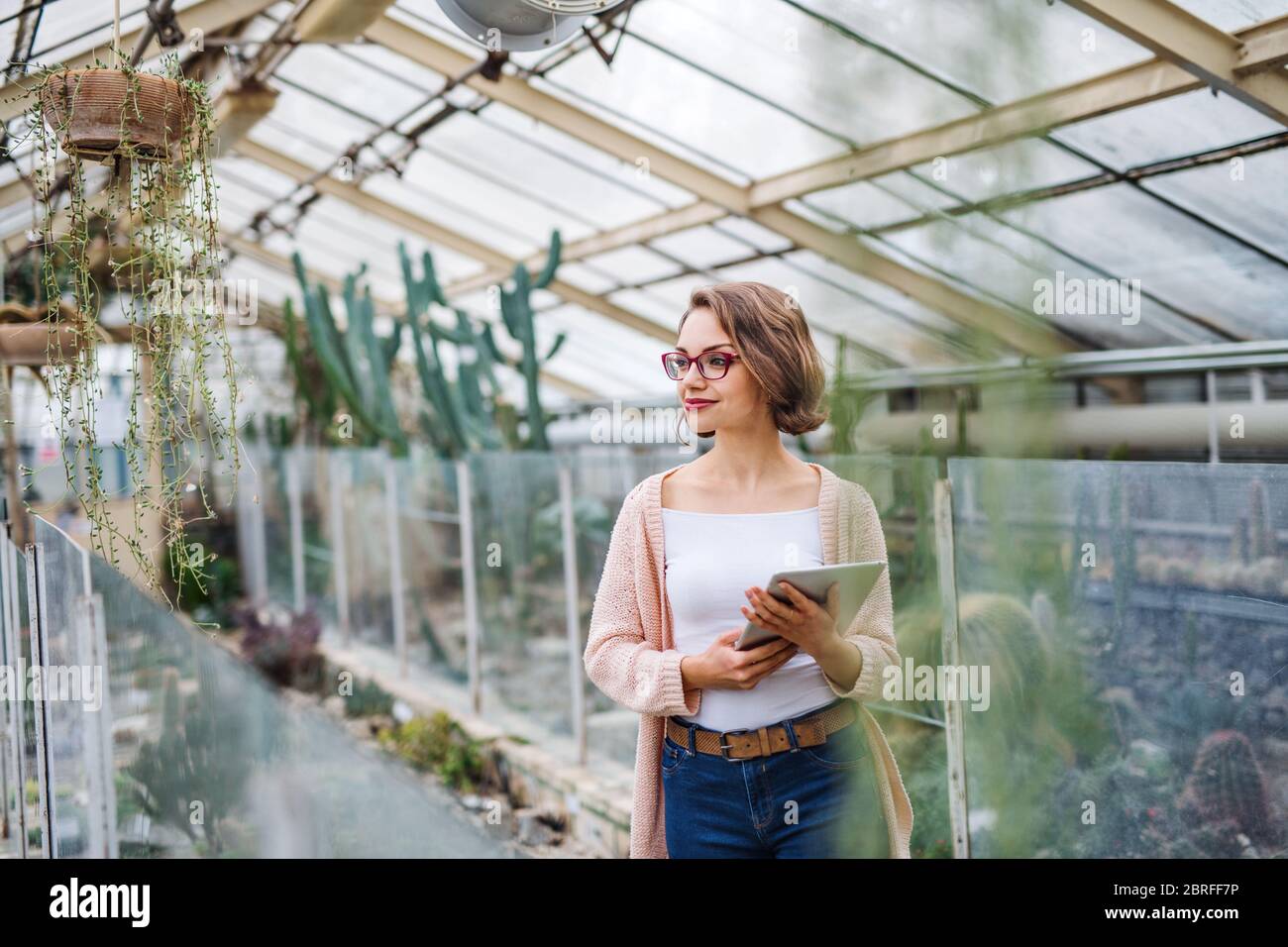 Woman researcher standing in greenhouse, using tablet Stock Photo - Alamy