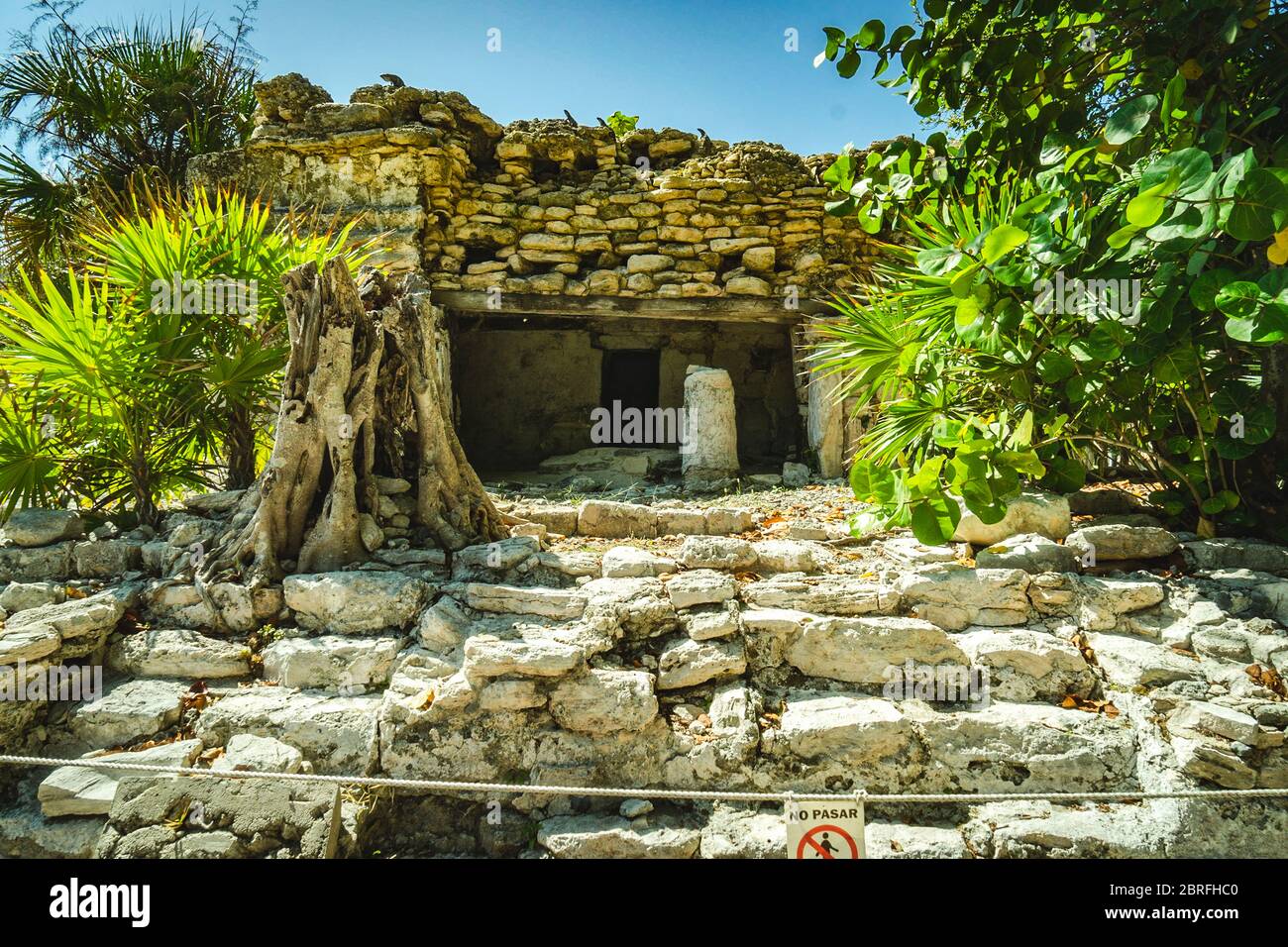 Xaman ha and mexico hi-res stock photography and images - Alamy