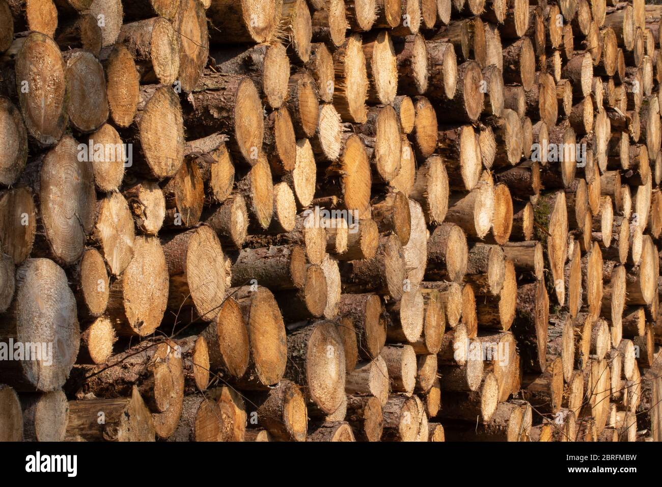 Side view of stacked tree trunks pattern for background Stock Photo - Alamy