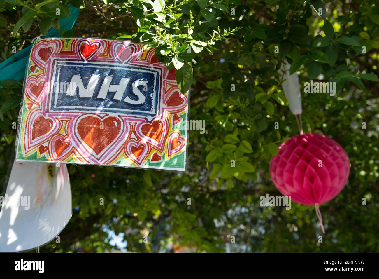 Artwork by children hung in the branches of tree outside a home to ...