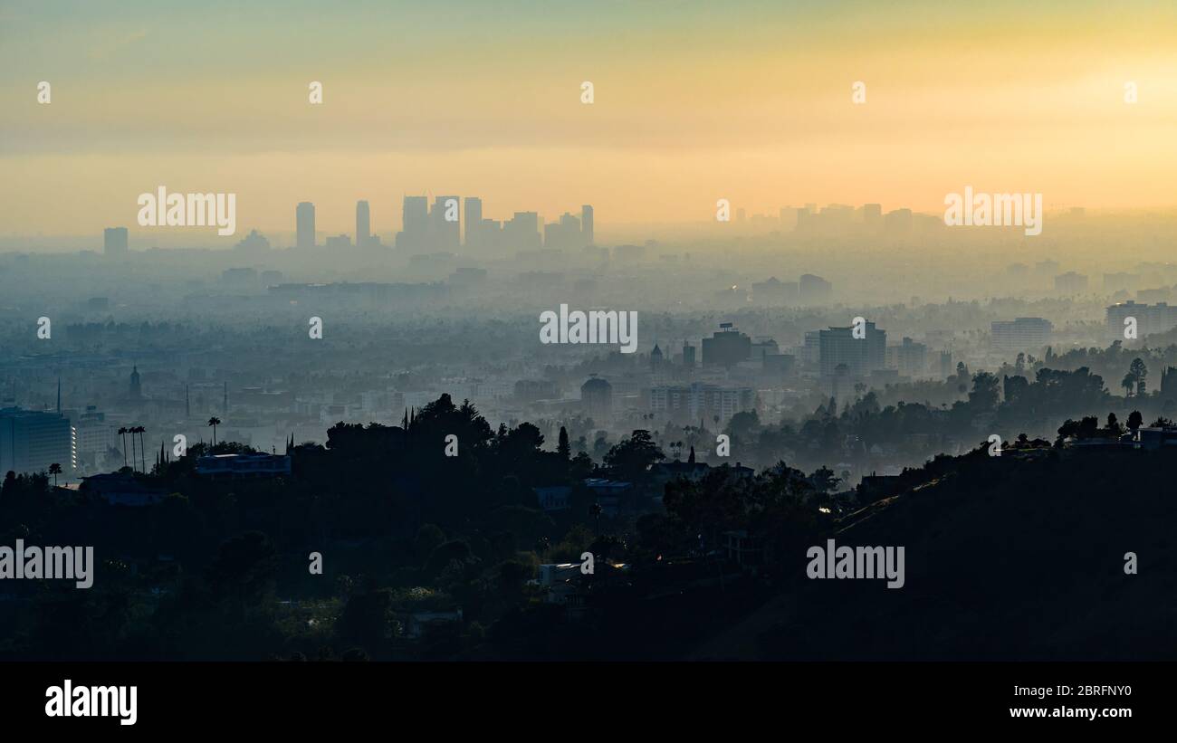 View of downtown Los Angeles, from the Hollywood Hills, at sunset Stock ...