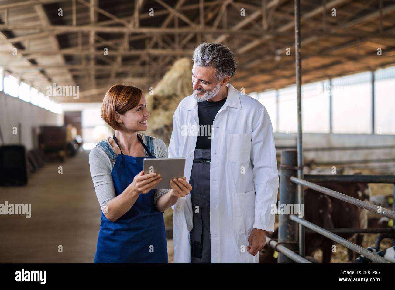 Man and woman workers hi-res stock photography and images - Alamy