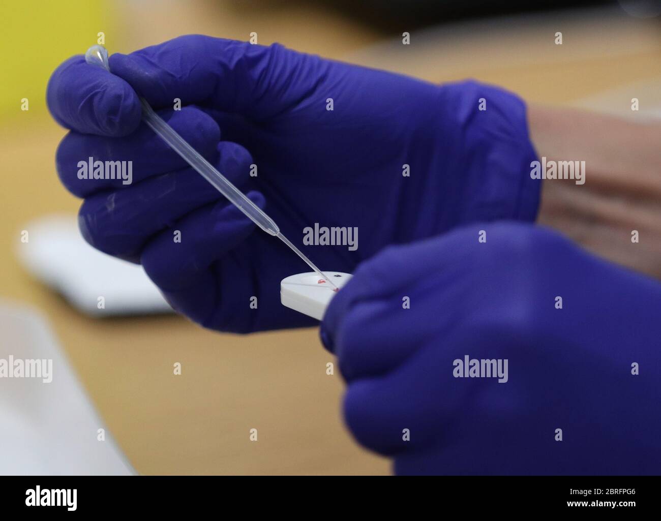 Rapid antibody fingertip test hi-res stock photography and images - Alamy