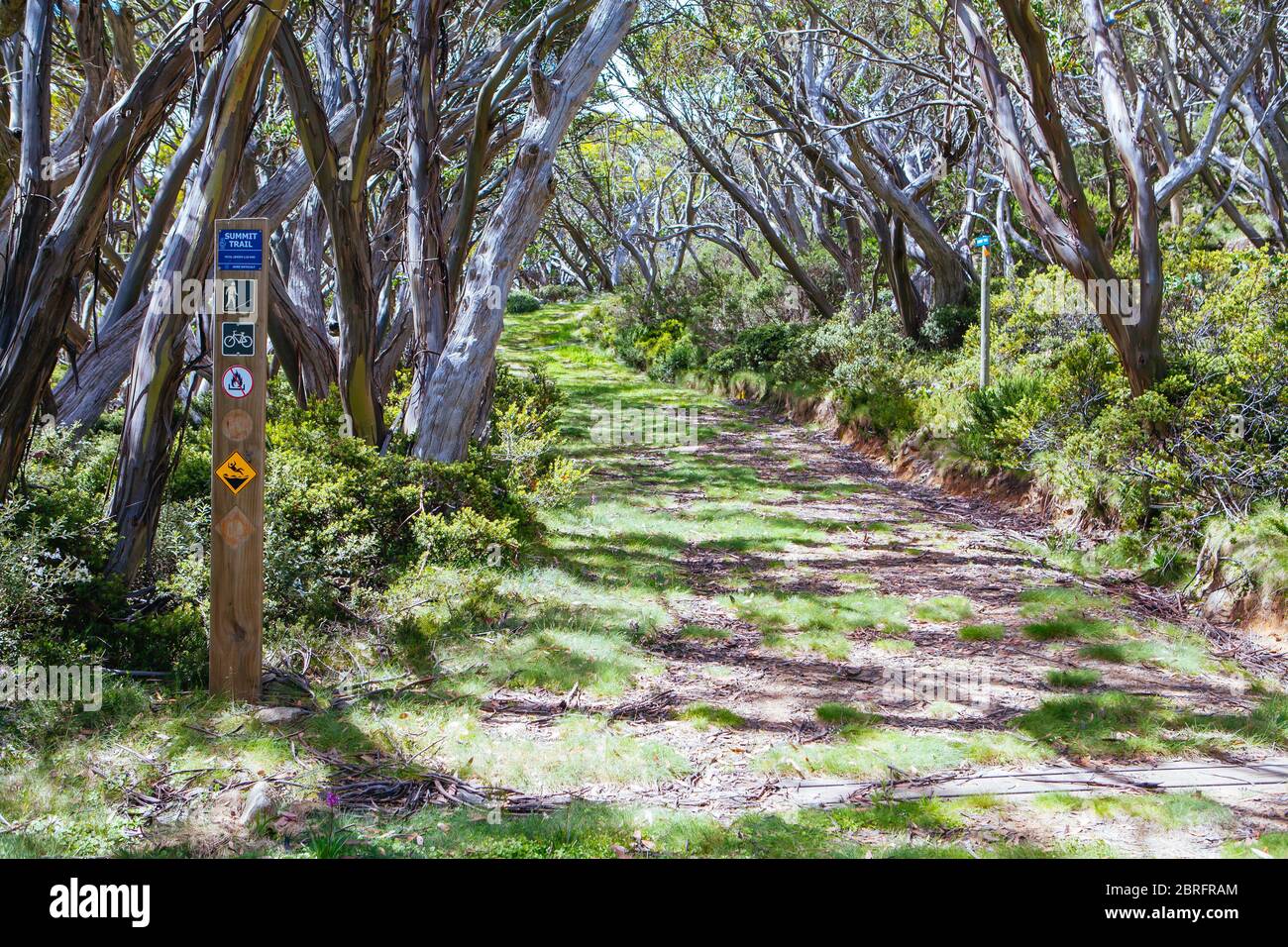 Mt Baw Baw Walking Trails in Summer in Australia Stock Photo - Alamy