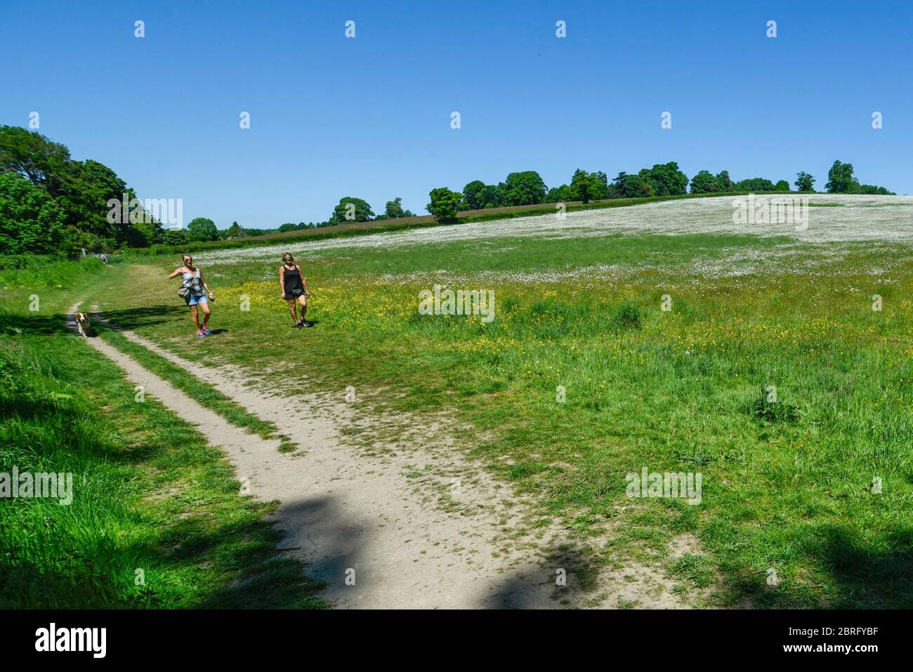 Chess valley walk spring hi-res stock photography and images - Alamy