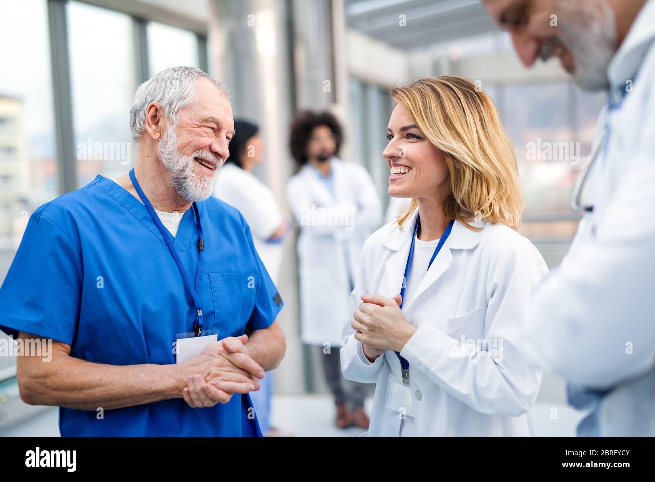 Group of doctors standing on medical conference, talking Stock Photo ...