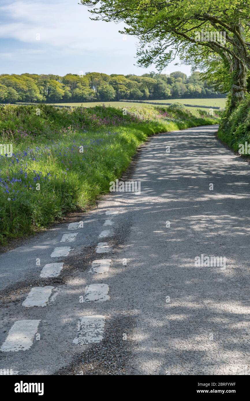 Road going noplace hi-res stock photography and images - Alamy