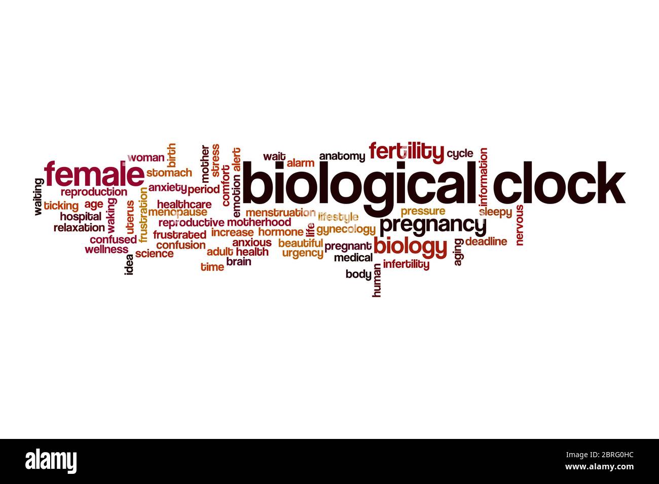 Biological clock concept on white background Stock Photo - Alamy