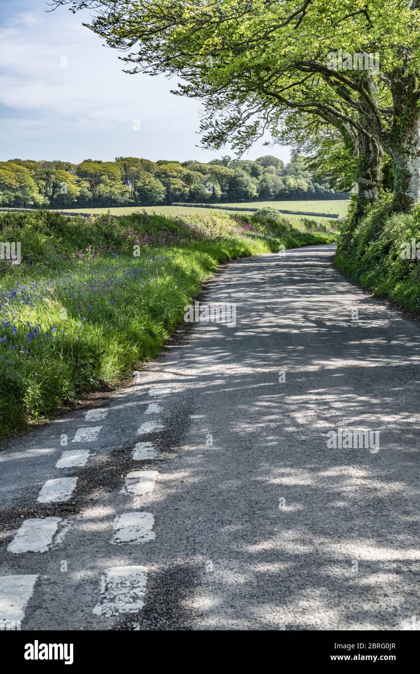 Rural roads cornwall hi-res stock photography and images - Alamy