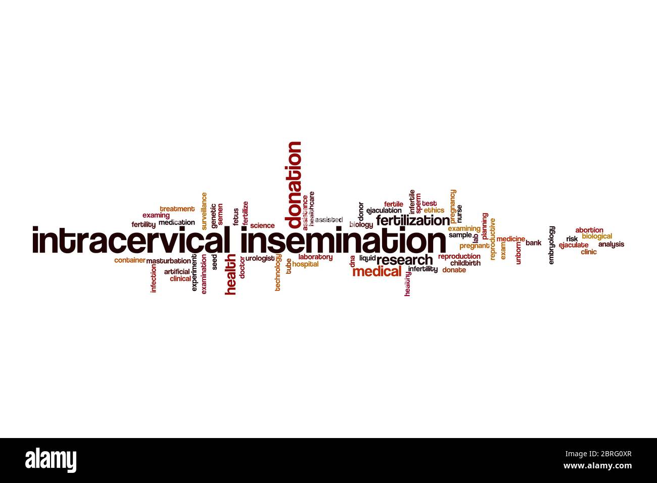 Intracervical insemination cloud concept on white background Stock ...