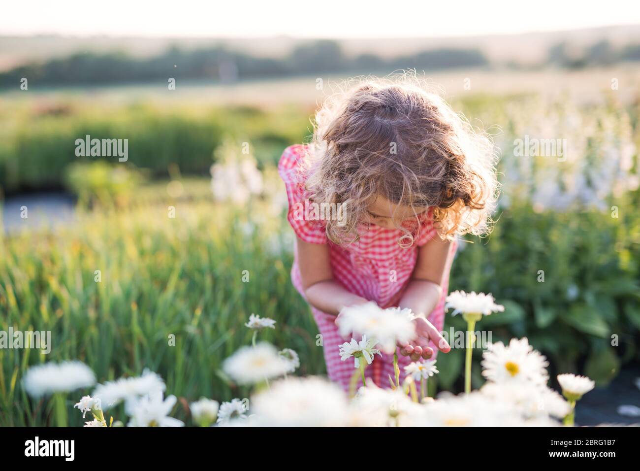 Portrait of small girl standing in the backyard garden, playing Stock ...
