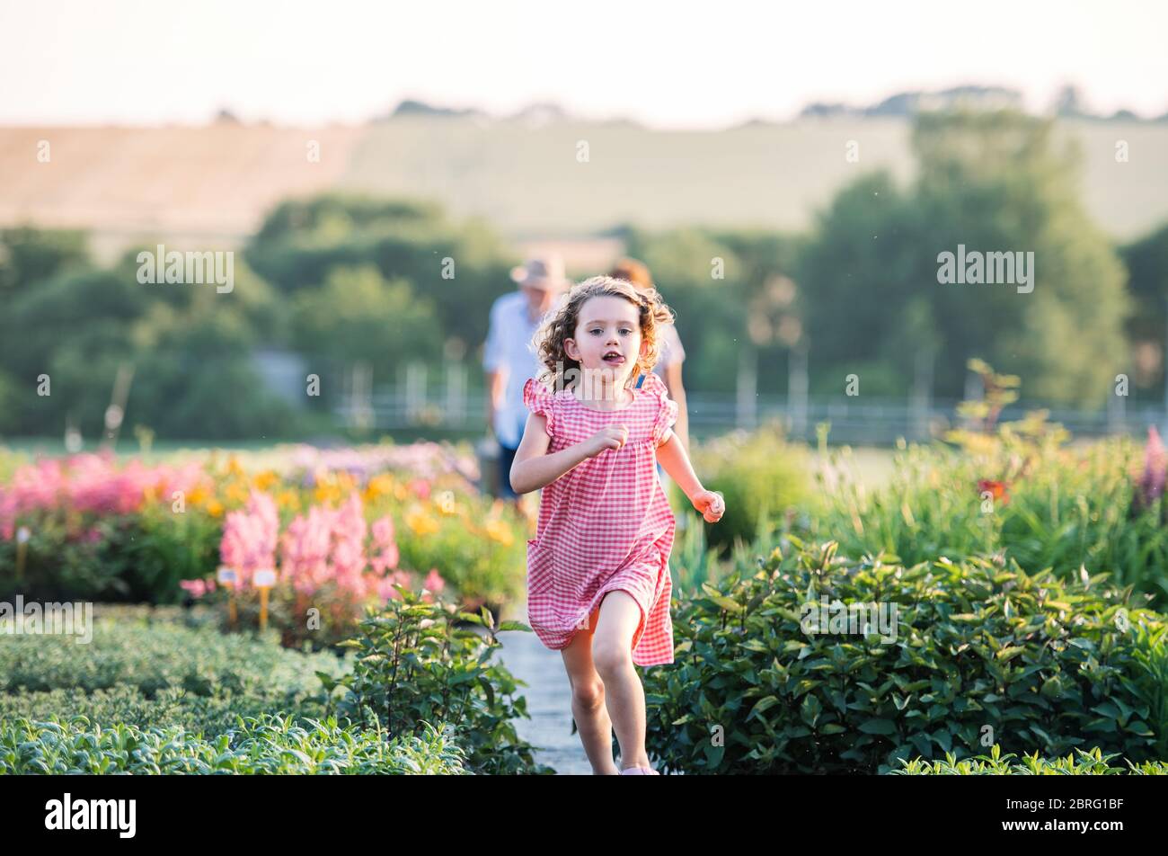 Running in the backyard hi-res stock photography and images - Alamy