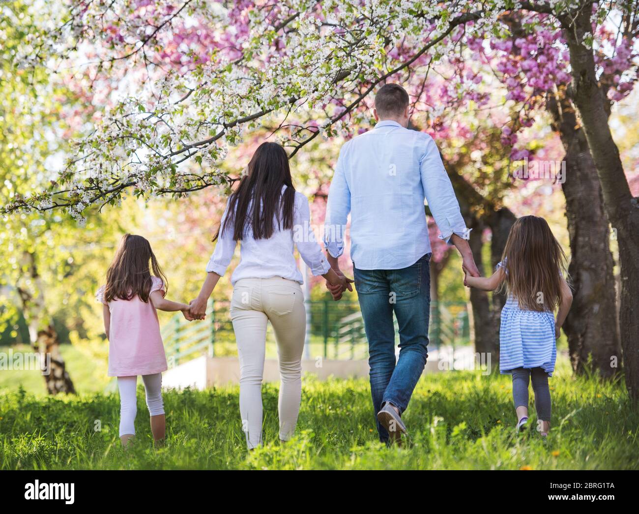 Man woman walking rear view park hi-res stock photography and images ...