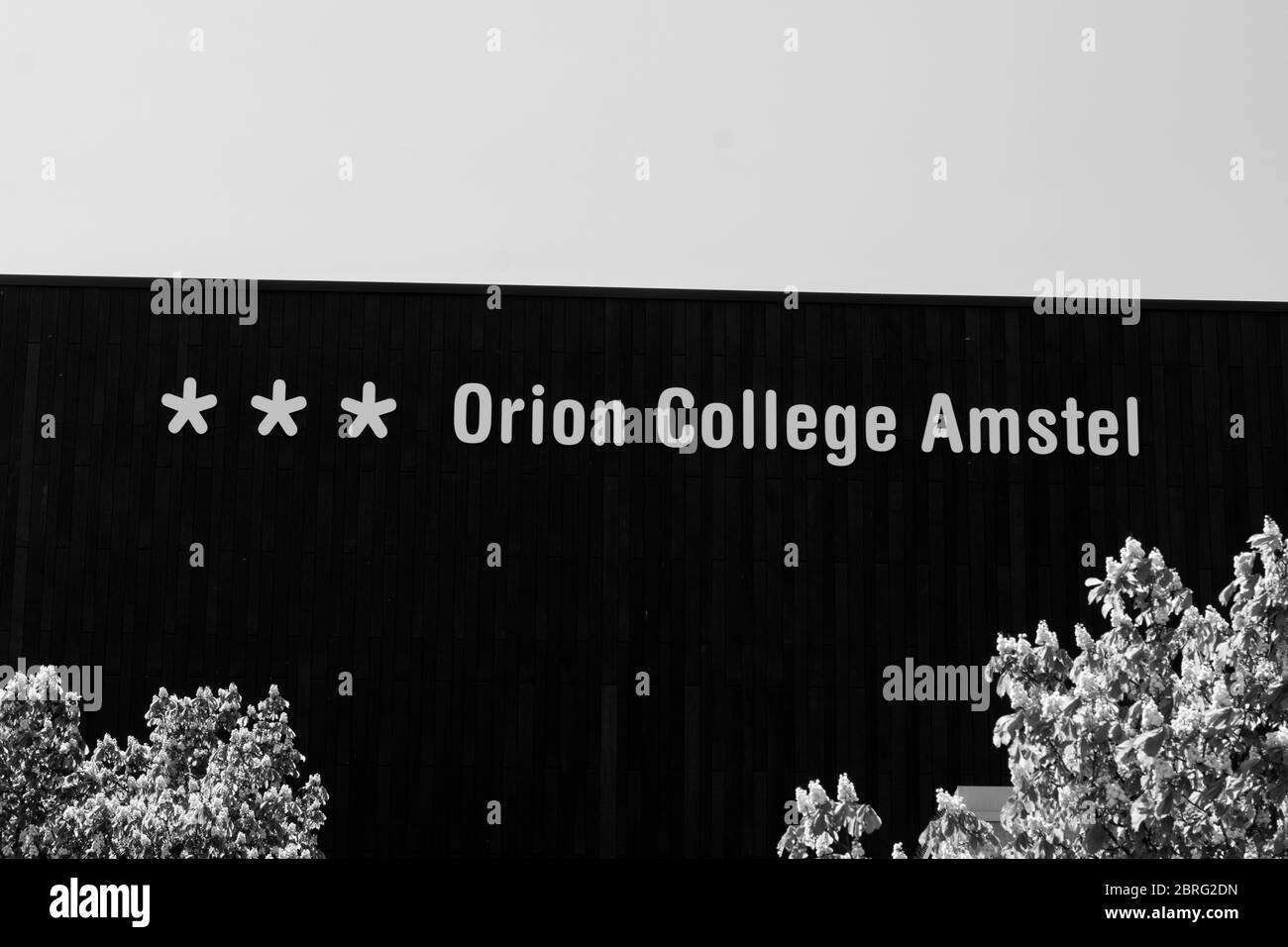 Orion logo Black and White Stock Photos & Images - Alamy