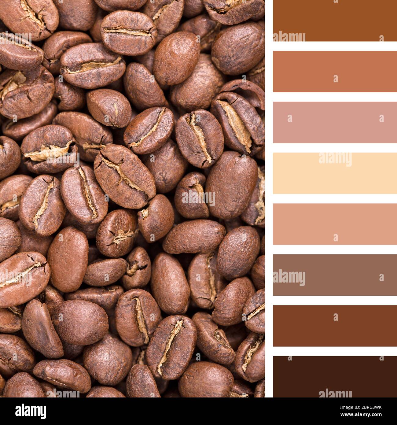 A background of New England roast coffee beans. In a colour palette ...