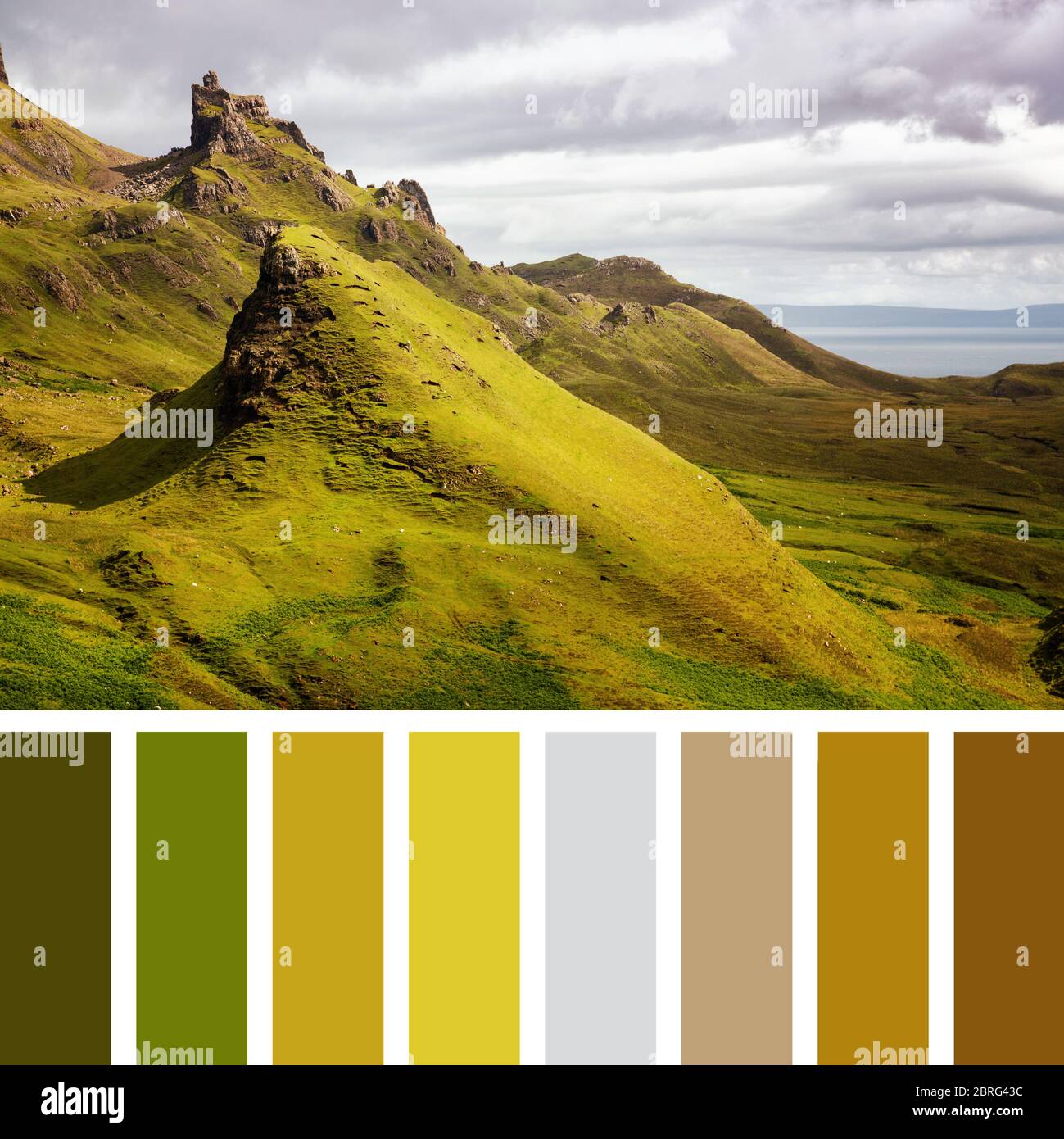 Dramatic color palette hi-res stock photography and images - Alamy