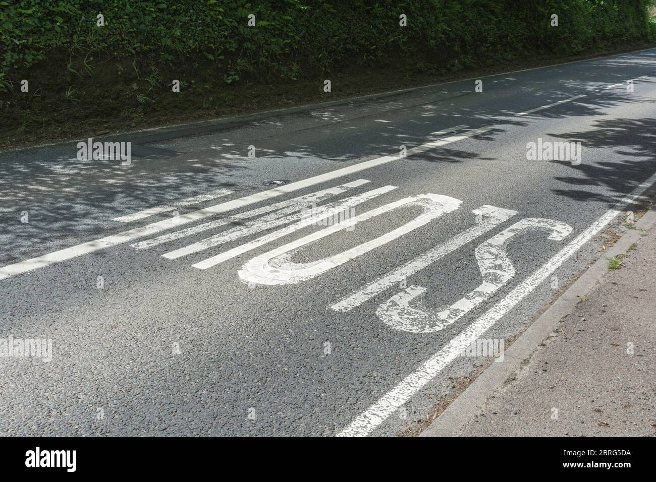 SLOW road marking painted on rural country road, with tree branch ...