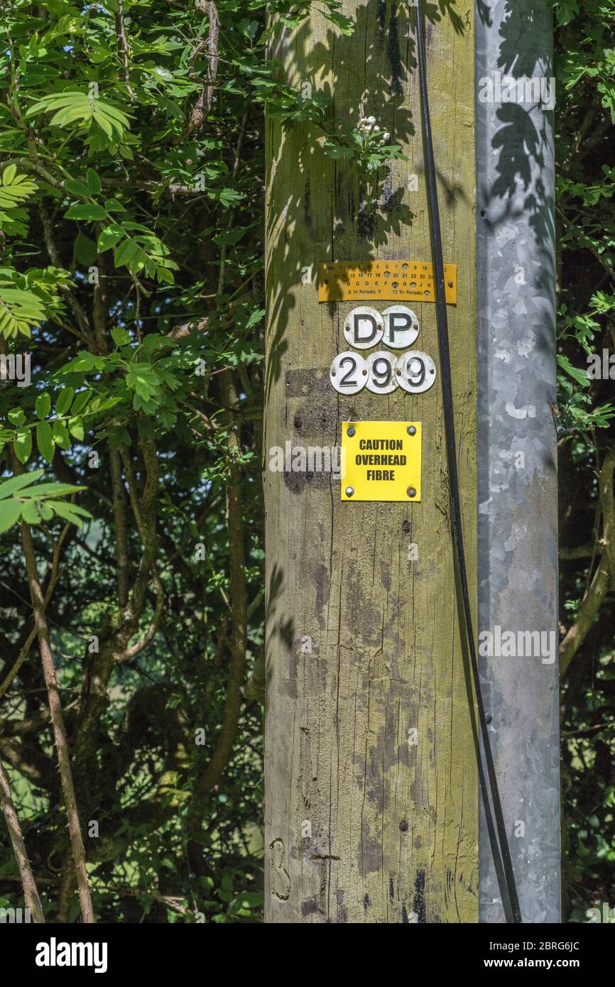 Yellow warning sign on telephone utility pole warning of overhead fibre ...