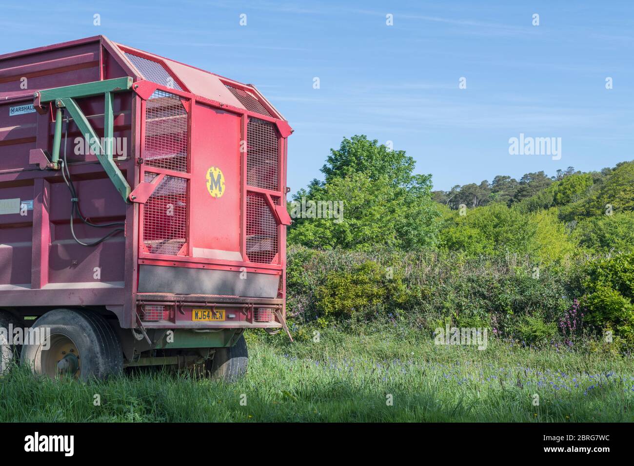 UK Marshall silage trailer sitting empty beside rural hedgerow ...