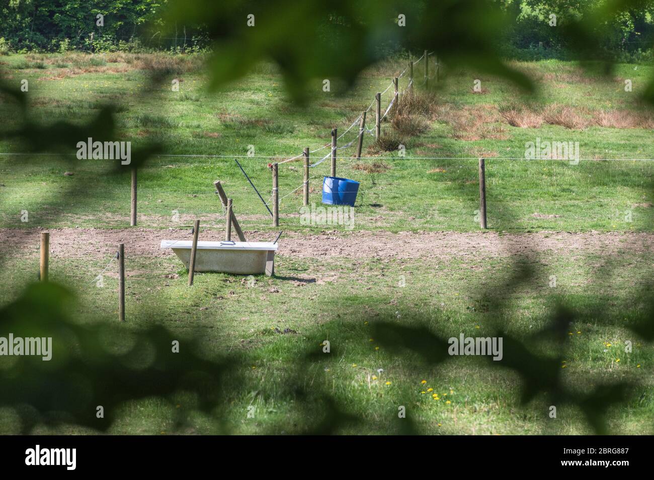 Plastic bath tub being used as water trough in horse paddock. Metaphor ...