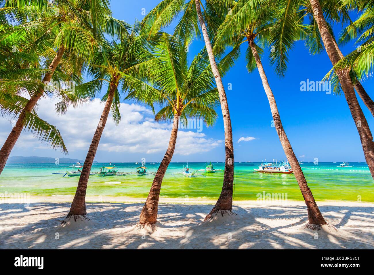 Tropical vacation at white sand beach with coconut palm trees in ...