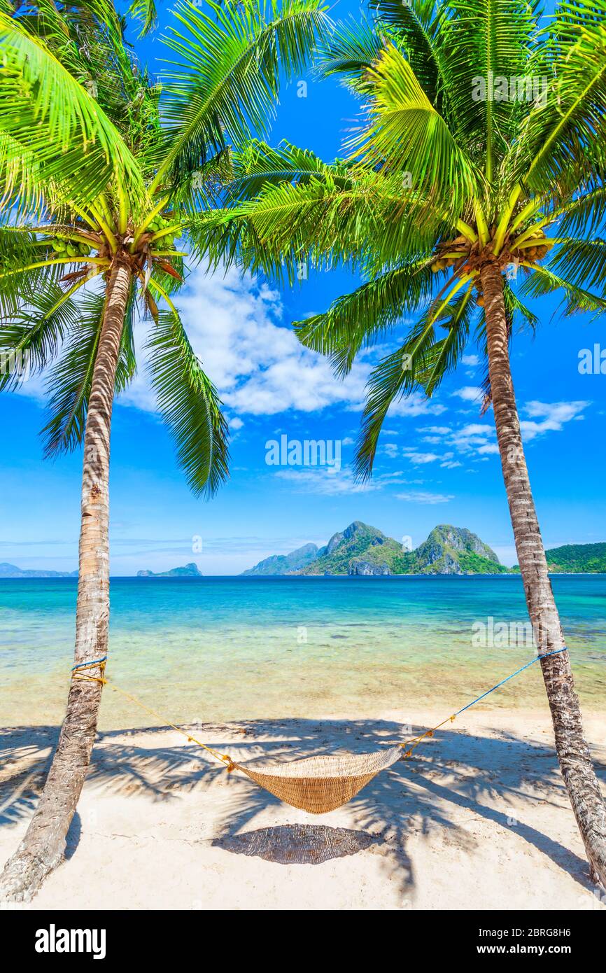 Beach landscape of white sand, coconut palms, hammock and turquoise ...