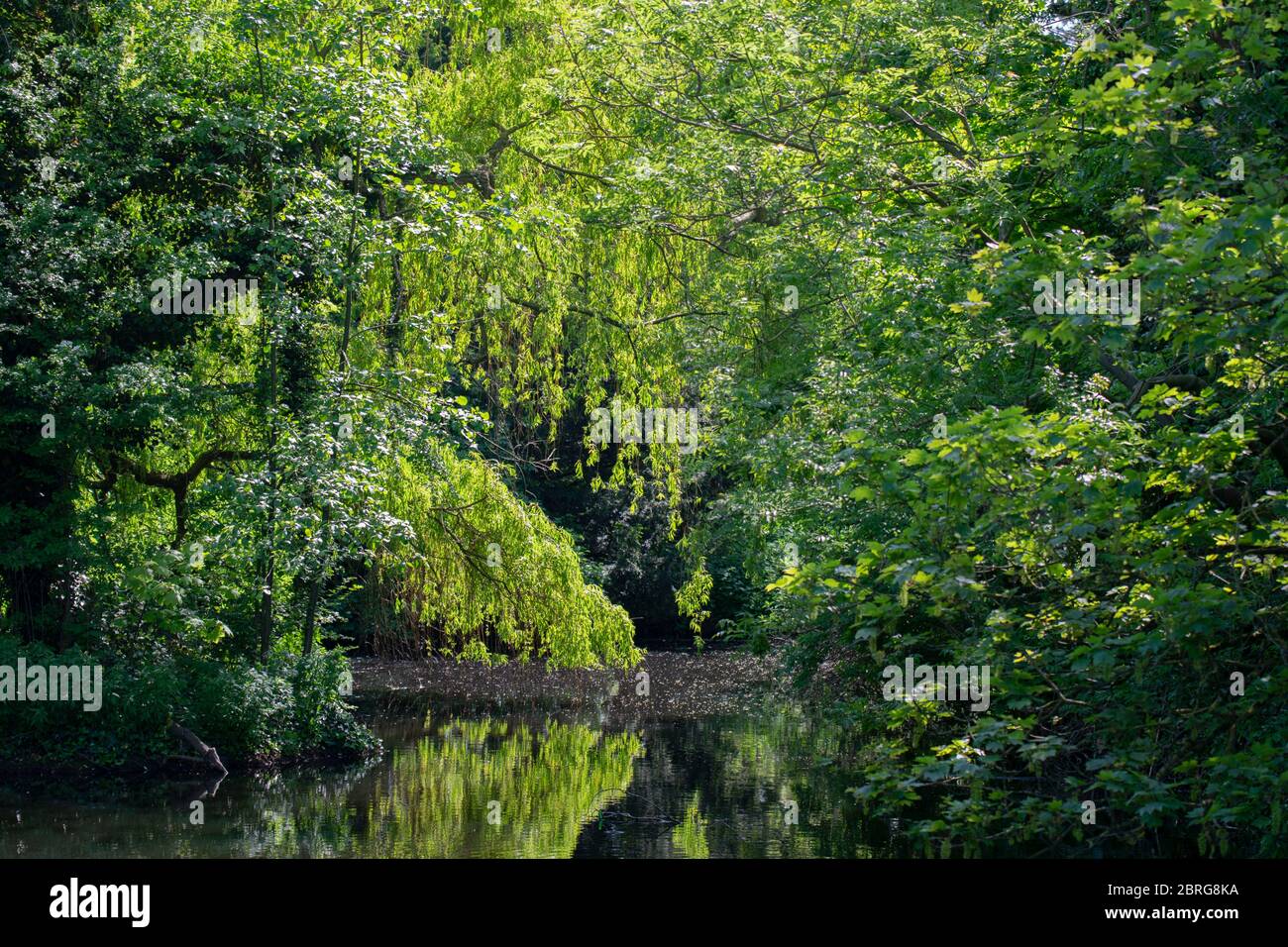 Park frankendael amsterdam hi-res stock photography and images - Alamy