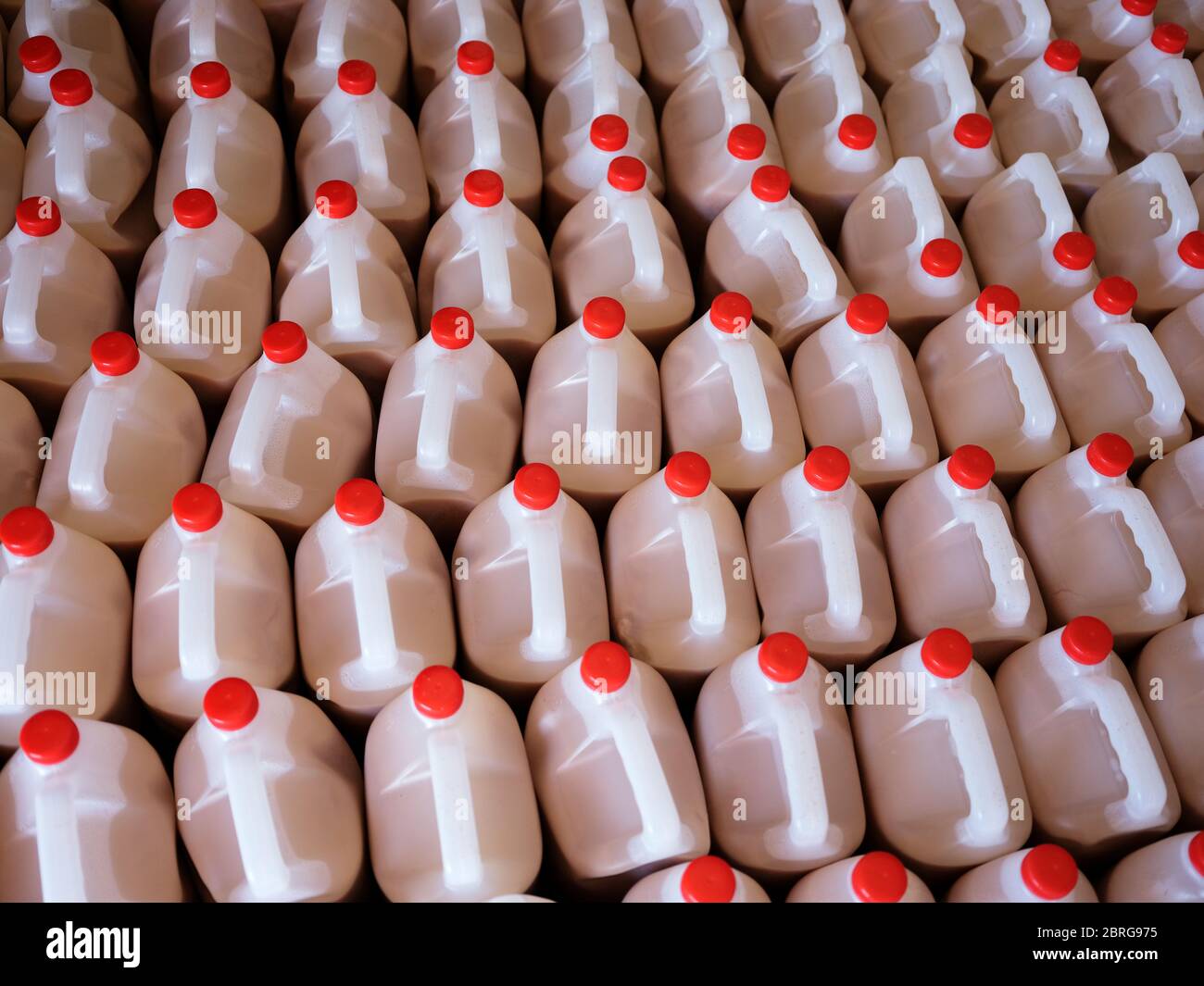 Bulk Mageu (Mahewu) in containers ready for distribution as part of a ...