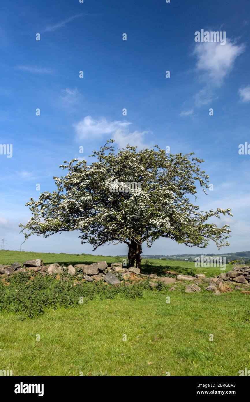 Witton Weavers Way High Resolution Stock Photography and Images - Alamy