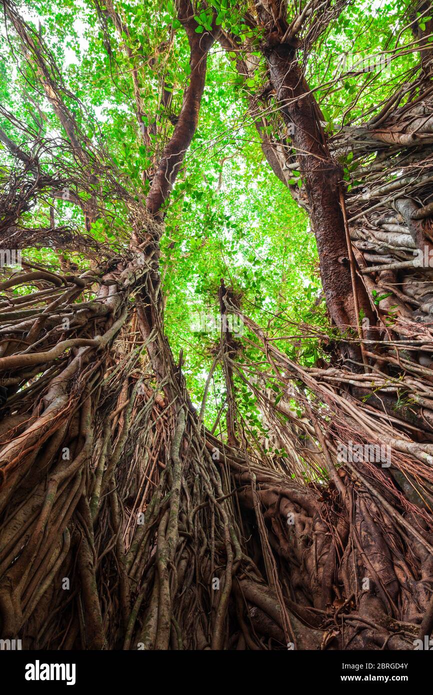 Indian tourist attraction hi-res stock photography and images - Alamy